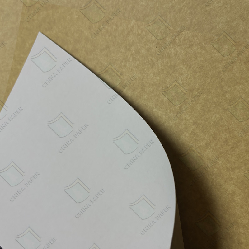 Coated Board Kraft Back (CKB) Paper: The Future of Food Packaging