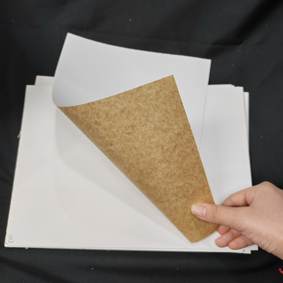 Liquid Packaging Board- Good choice in the Packaging Field