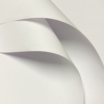 Quality Offset Printing Paper & Carbonless Printing Paper factory from ...