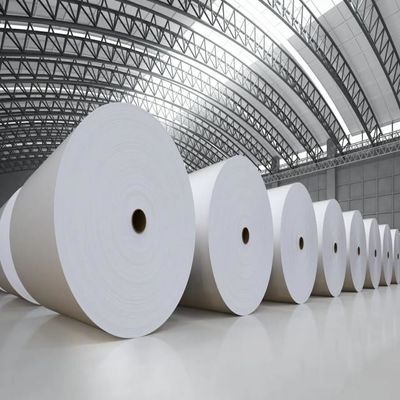 Quality Offset Printing Paper & Carbonless Printing Paper factory from ...